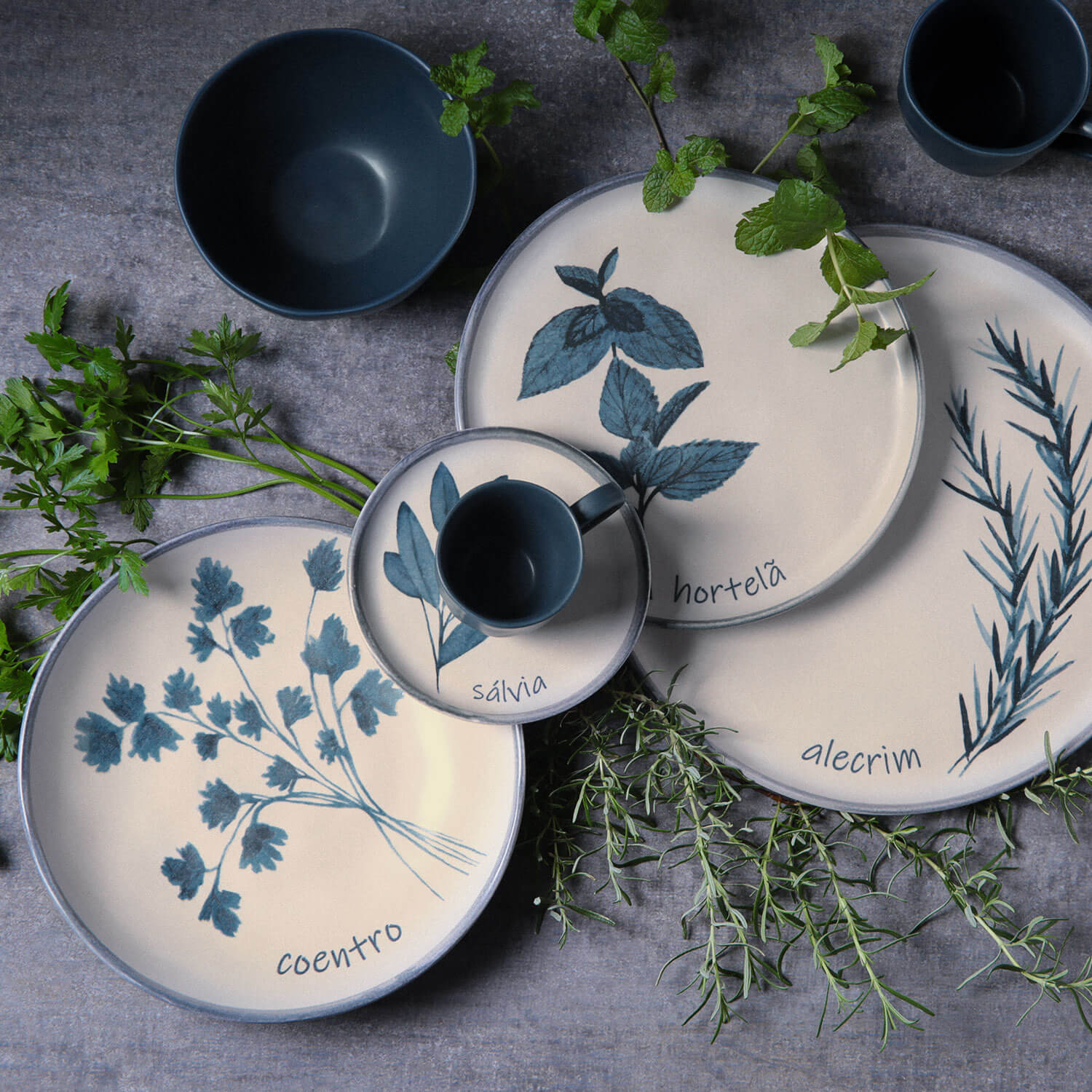 Conjunto com 6 Pratos Raso Bio Apettito Ø27,5cm - Porto Brasil Cerâmica