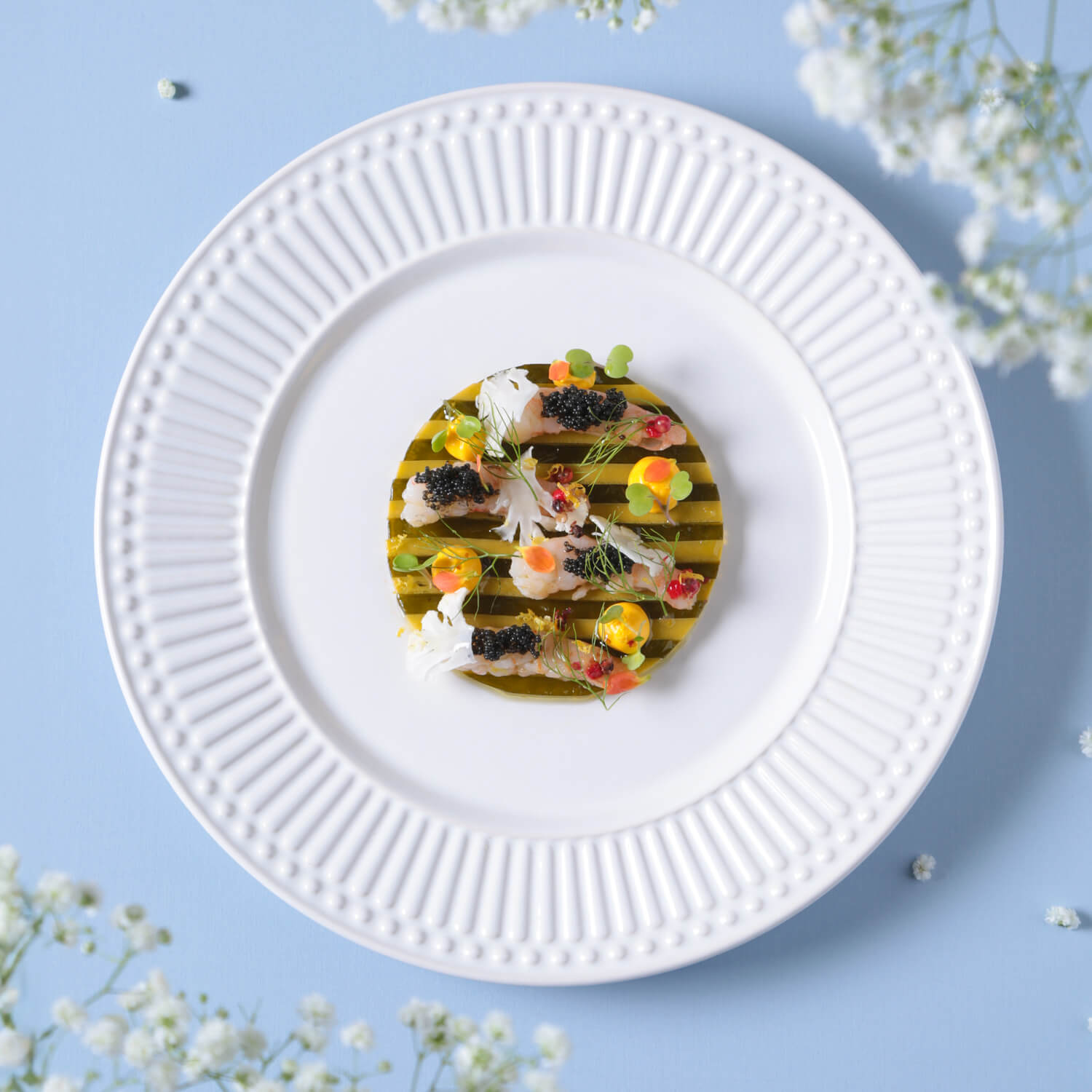 Conjunto com 6 Pratos Raso Roma Branco Ø26cm - Porto Brasil Cerâmica